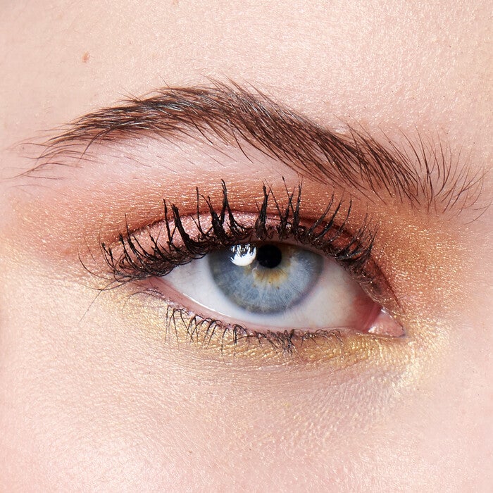 Classic Eye In Person Training – Lavish Lashes